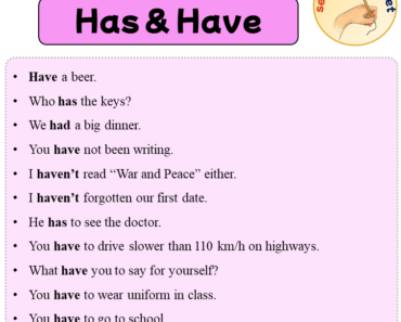 Sentences with Have and Has Archives - SentencesWith.Net