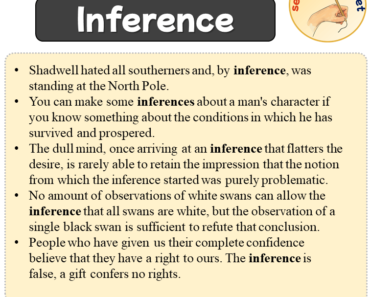 40 Conditional Sentences Examples, Conditionals in a Sentence ...