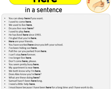 Meanwhile in a Sentence, Sentences of Meanwhile in English ...