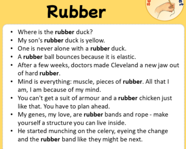 40 Declarative Sentences Examples, Declarative Example Sentences ...