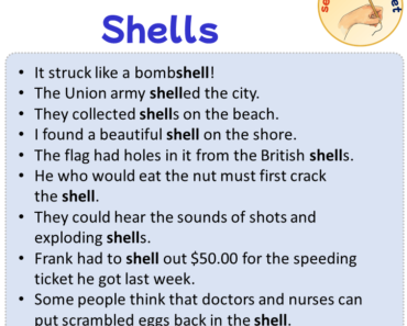Sentences with Segregation, Sentences about Segregation - SentencesWith.Net