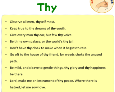 Sentences with Thy Archives - SentencesWith.Net