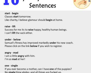 50 Synonym Words Sentences Examples, Synonyms Vocabulary with Sentences ...