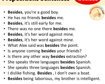 10 Example of Simple Sentence - SentencesWith.Net