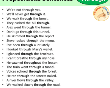 Preposition For Sentences Examples, Preposition For in a Sentence ...
