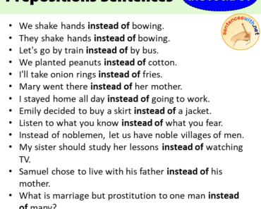 Sentences with Adjustment, Sentences about Adjustment - SentencesWith.Net